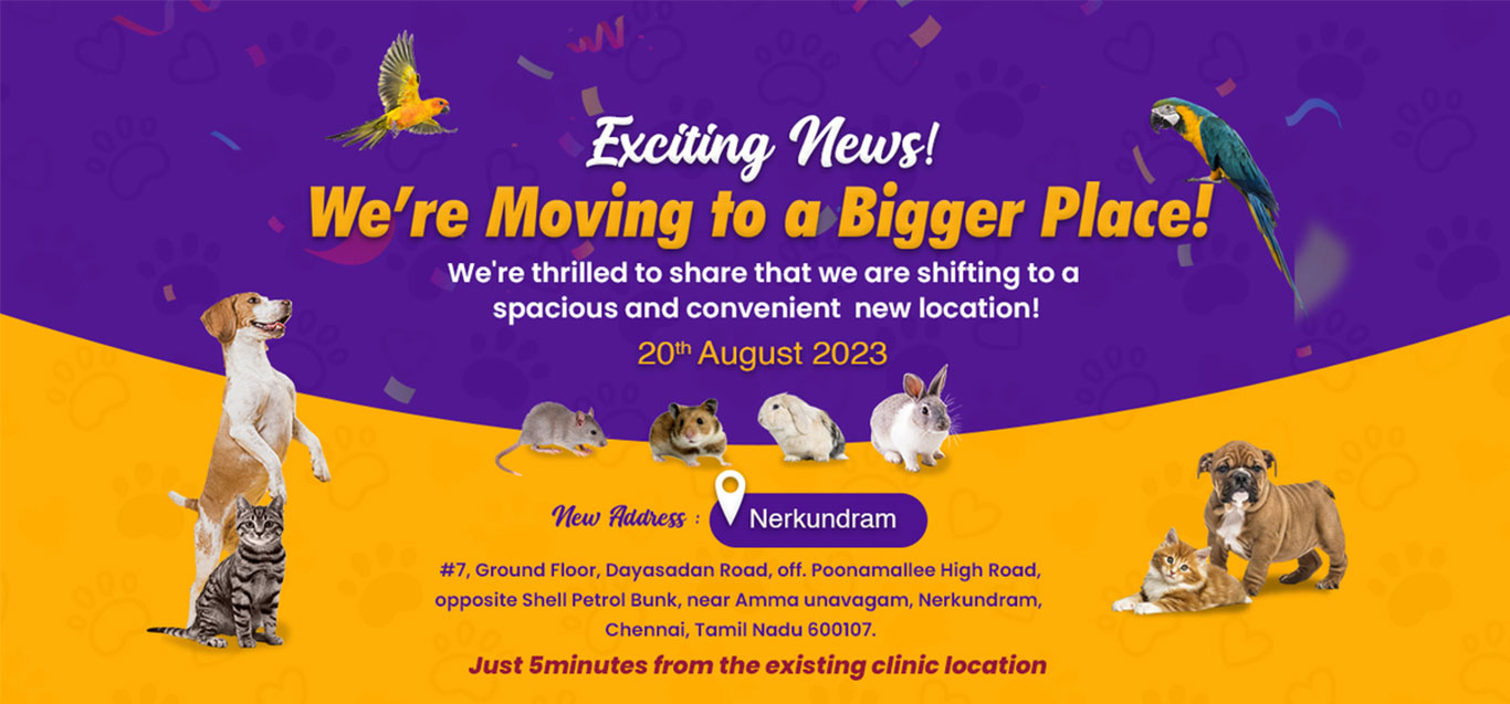 Eden Pets Care - Pet Clinic in Nerkundram, Chennai