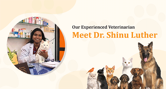 Eden Pets Care - Pet Clinic in Nerkundram, Chennai