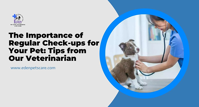 Eden Pets Care - Pet Clinic in Nerkundram, Chennai