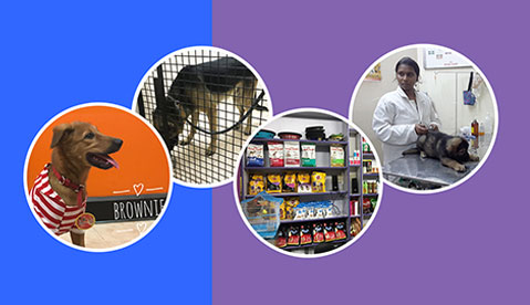 Eden Pets Care - Pet Clinic in Mogappair, Chennai